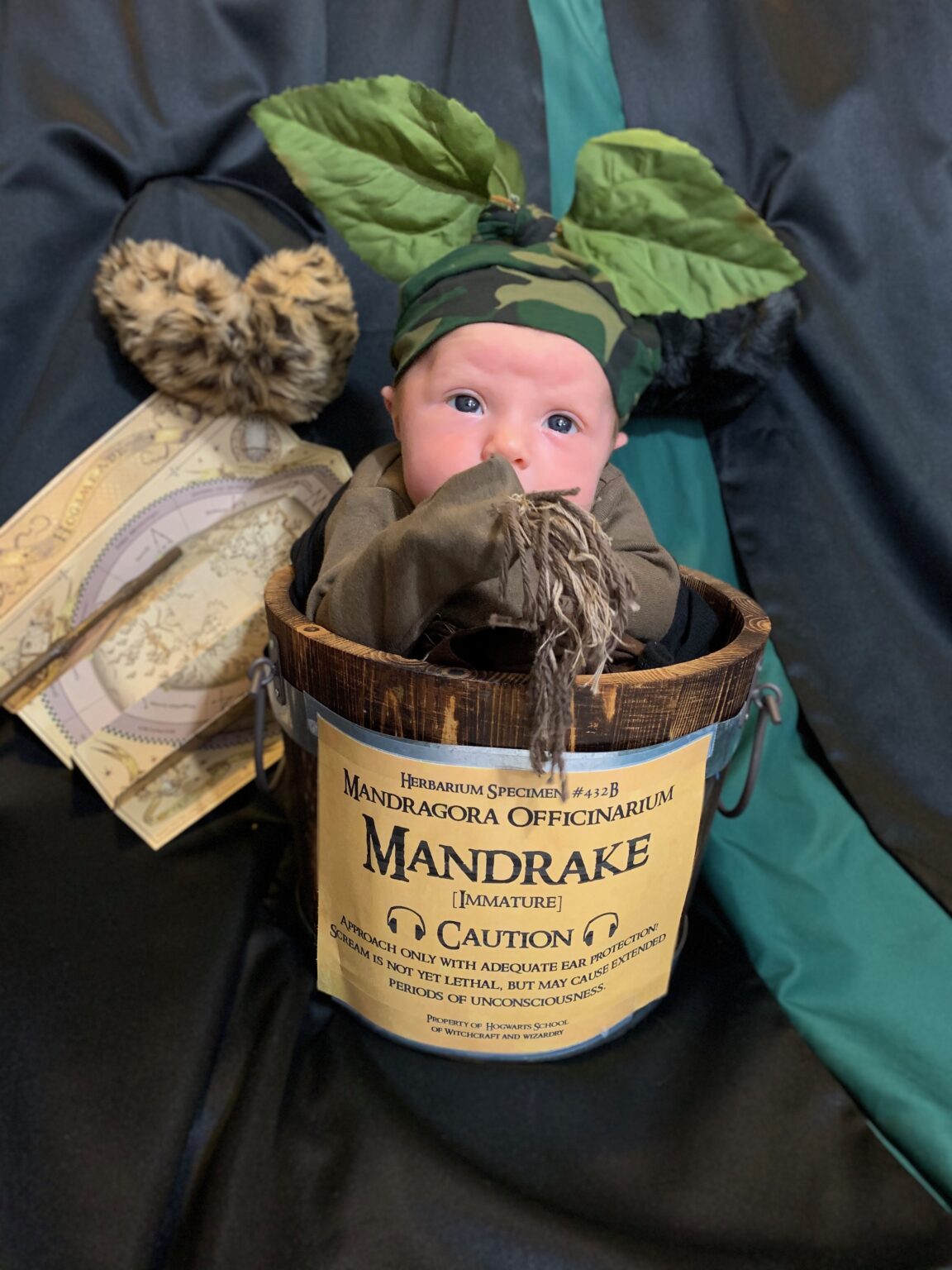 BABY MANDRAKE COSTUME - Be the Sunshine