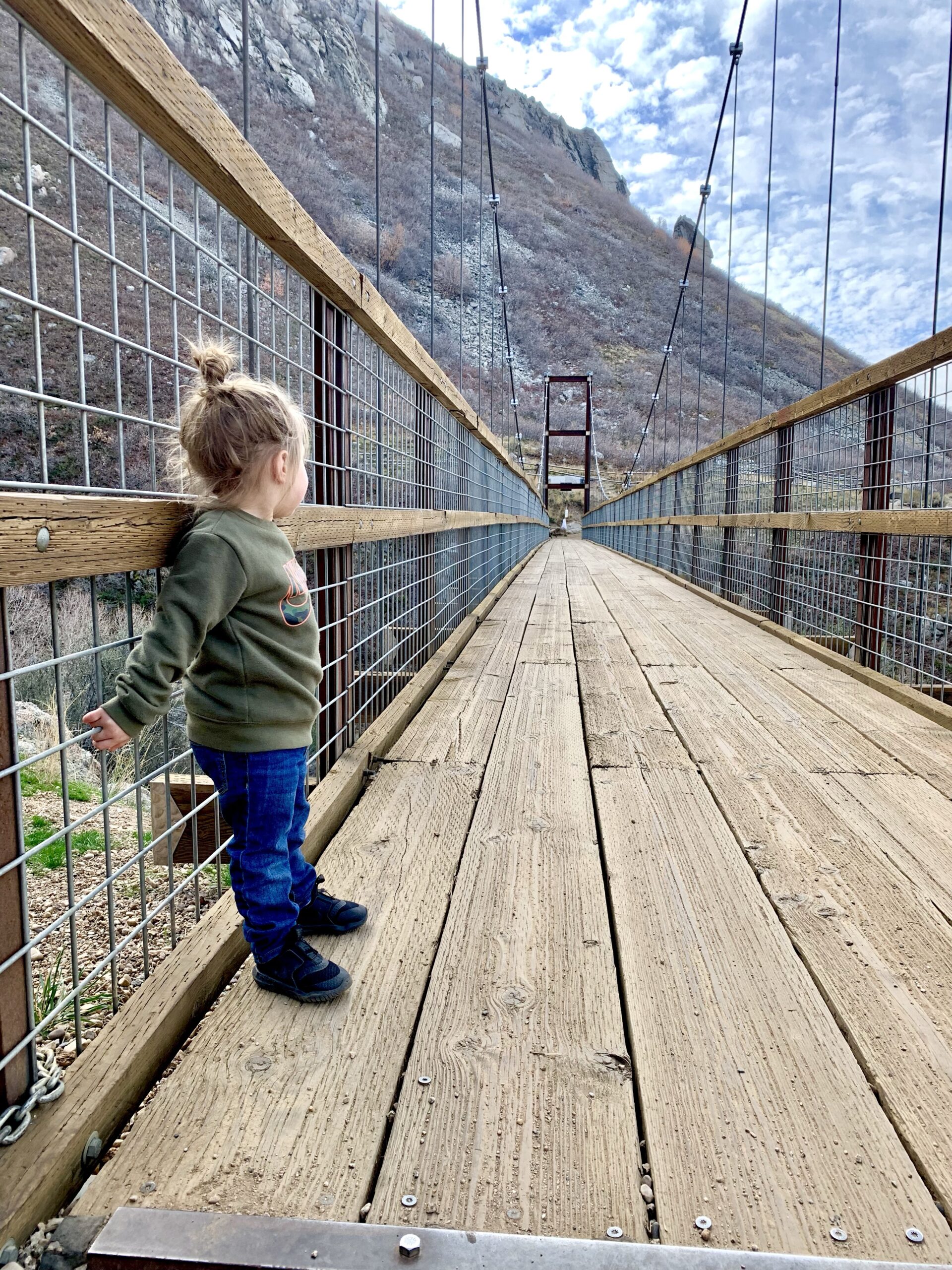DRAPER SUSPENSION BRIDGE - Be the Sunshine